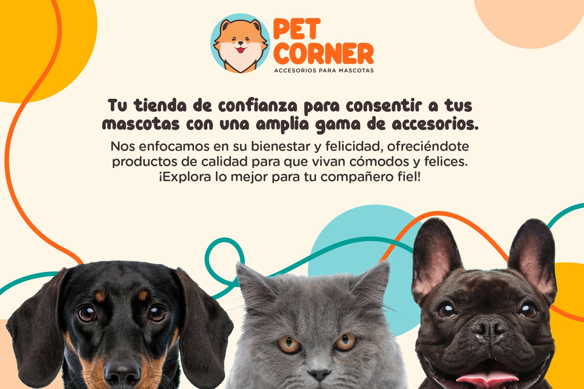 Pet Corner